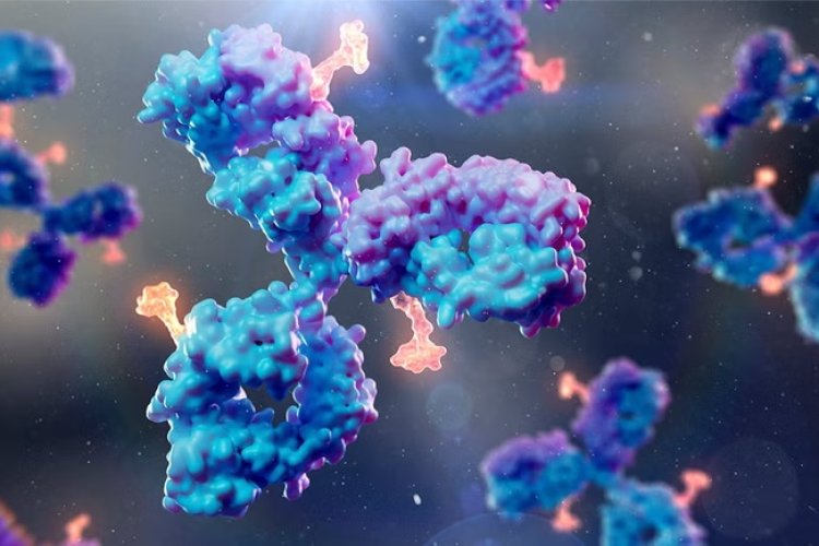 Antibody Drug Conjugates (ADCs) Market: Growth, Trends, Challenges ...